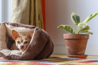 Purelightcreations Galleries